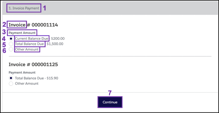 Checkout Visual Translation Guide