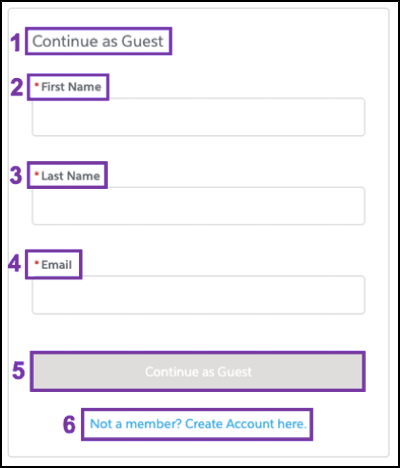 Checkout Visual Translation Guide