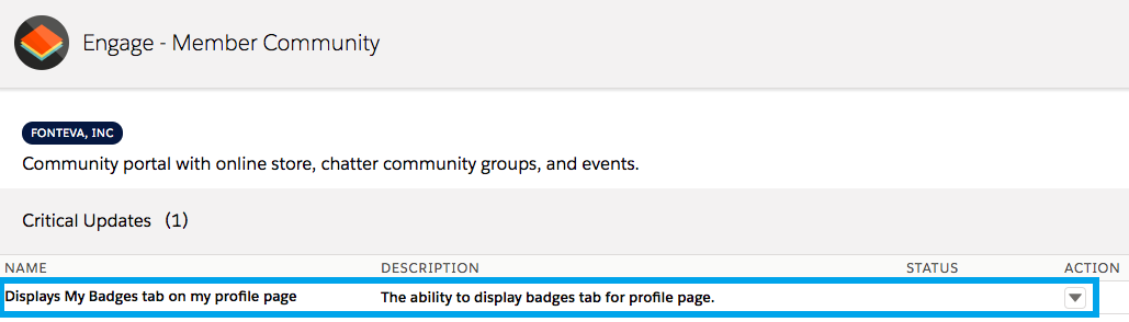 Display Badges in the Community